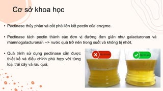 Enzyme pectinase.pptx
