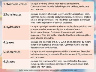 pharmaceutical enzymes | PPTX