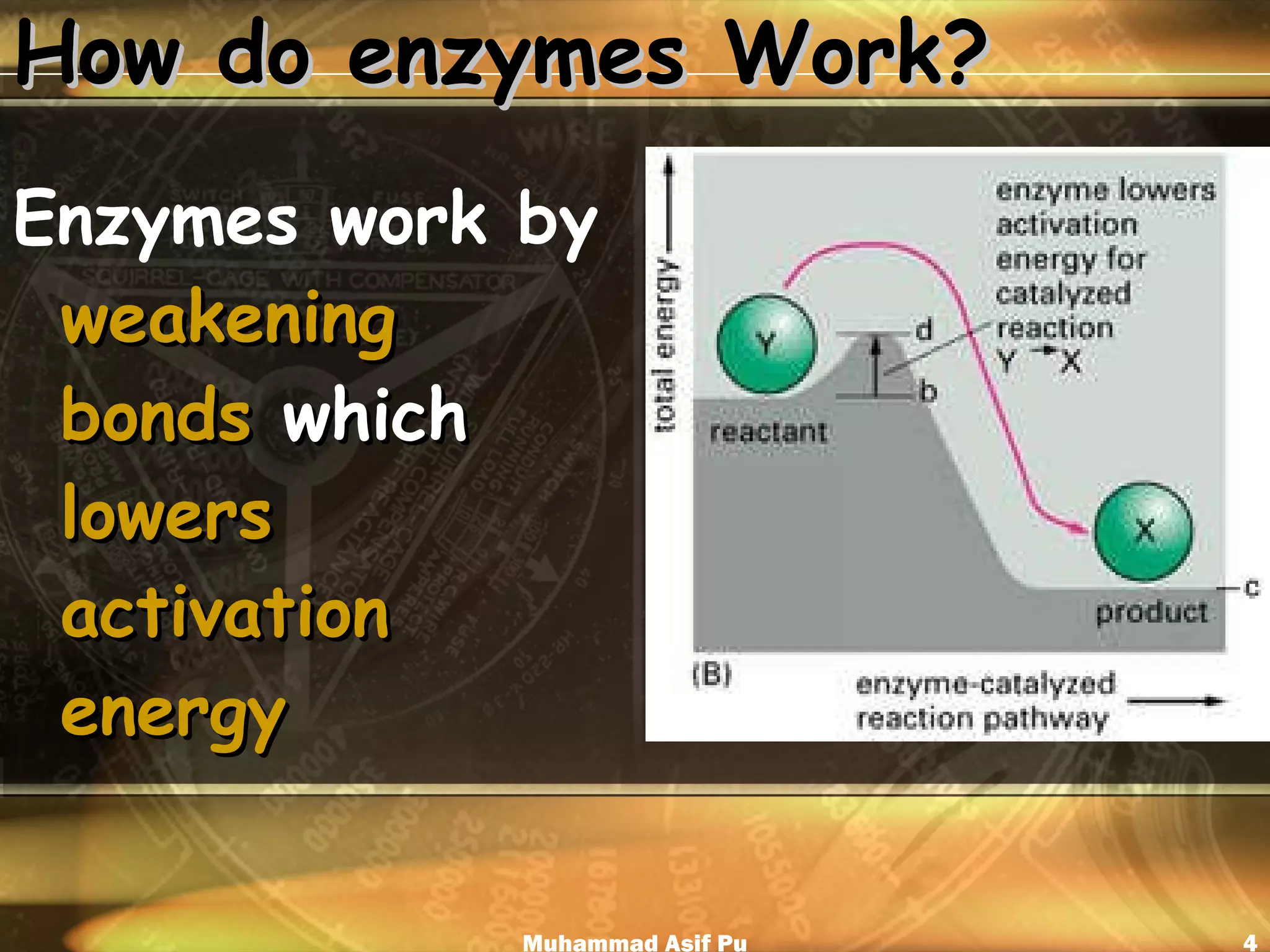 Enzyme ppt | PPT