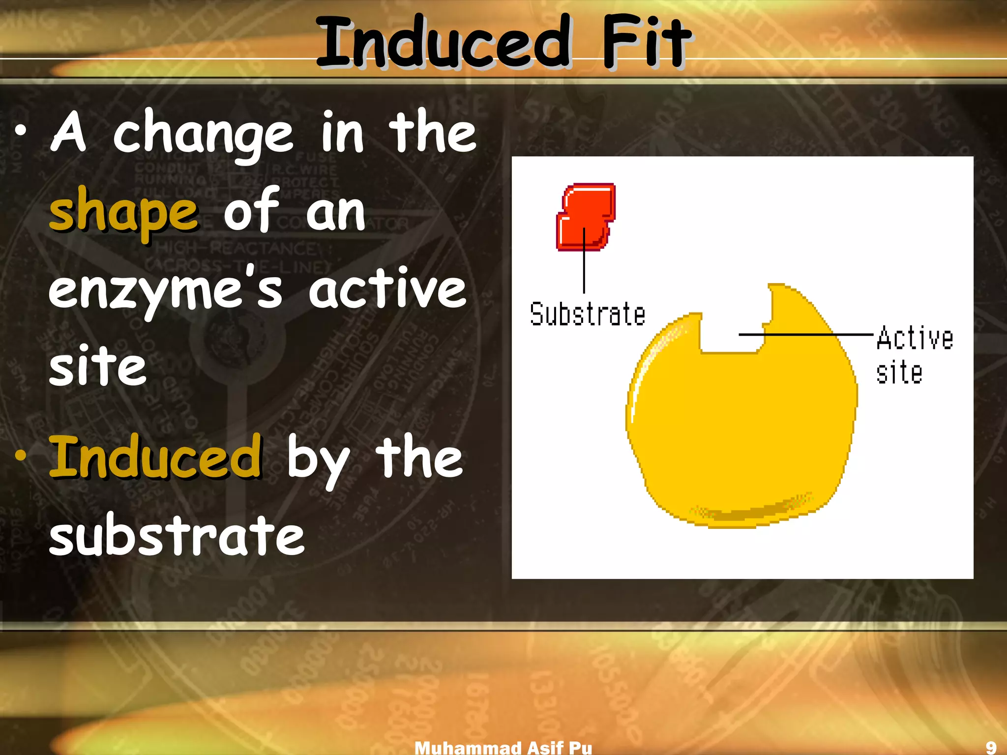 Enzyme ppt | PPT