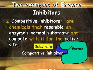 Enzyme ppt | PPT