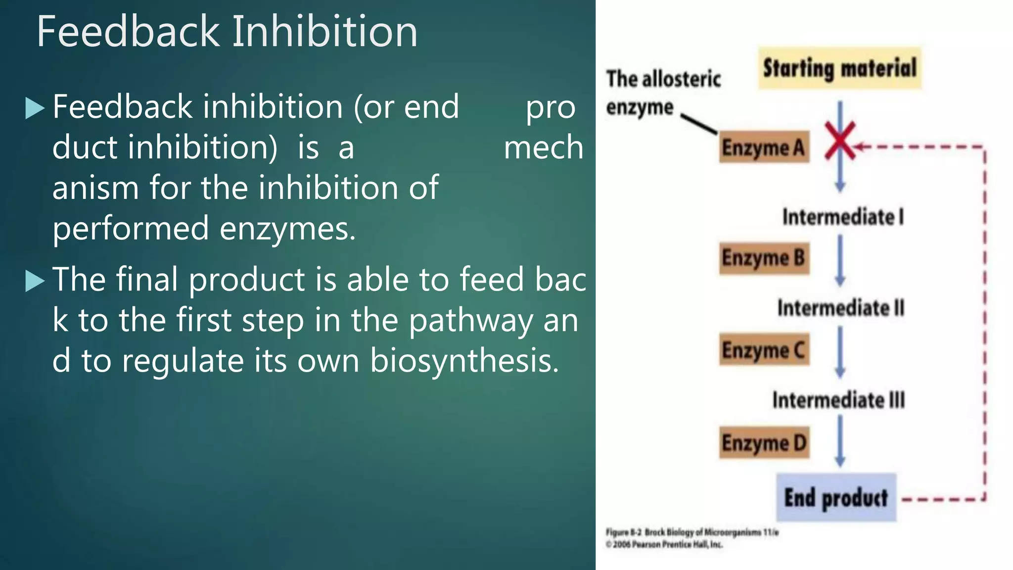 regulation of enzyme in microorganisms by Swati Raina | PPTX