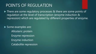 regulation of enzyme in microorganisms by Swati Raina | PPT