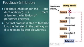 regulation of enzyme in microorganisms by Swati Raina | PPT