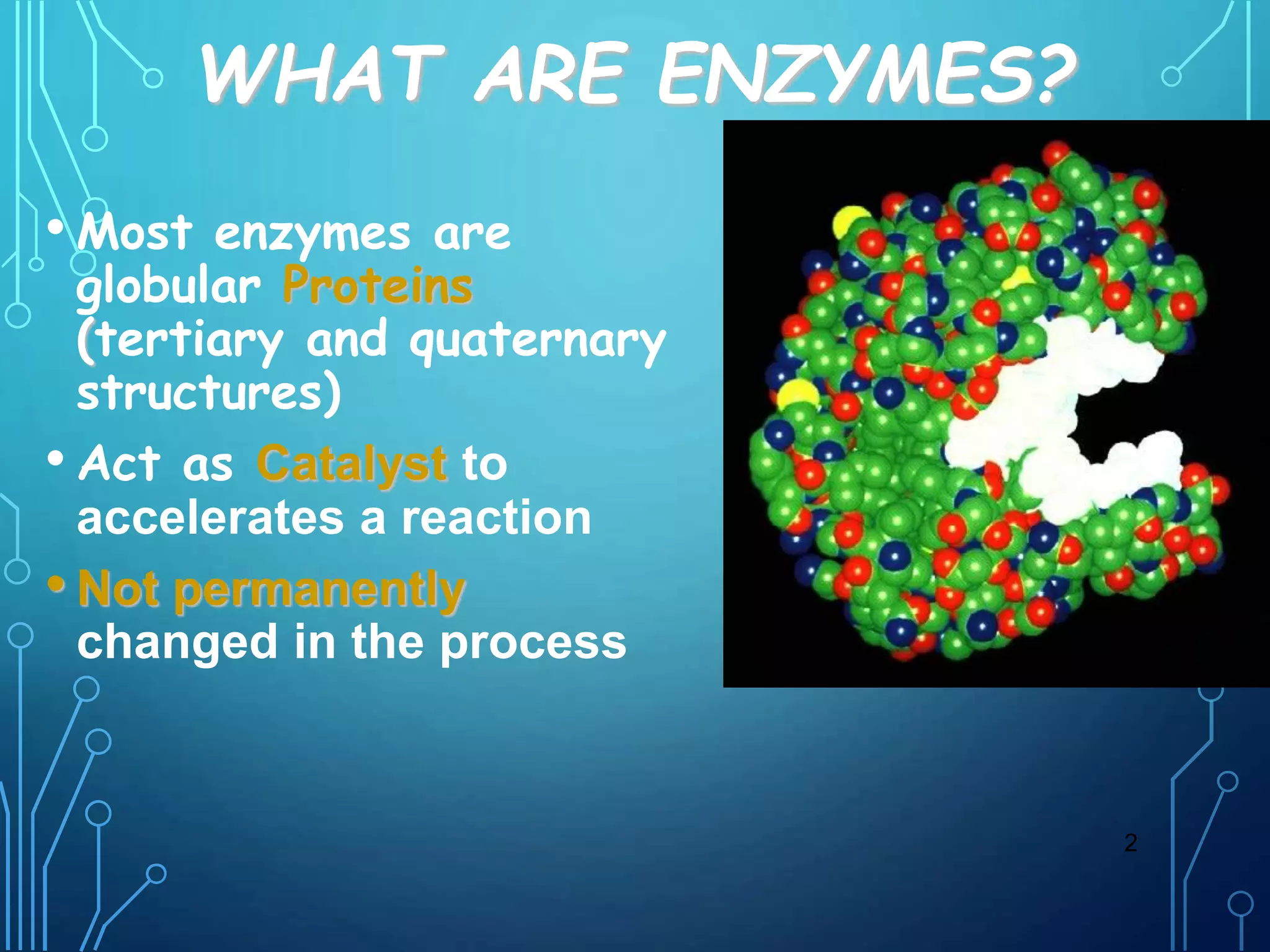 Enzyme ppt | PPT