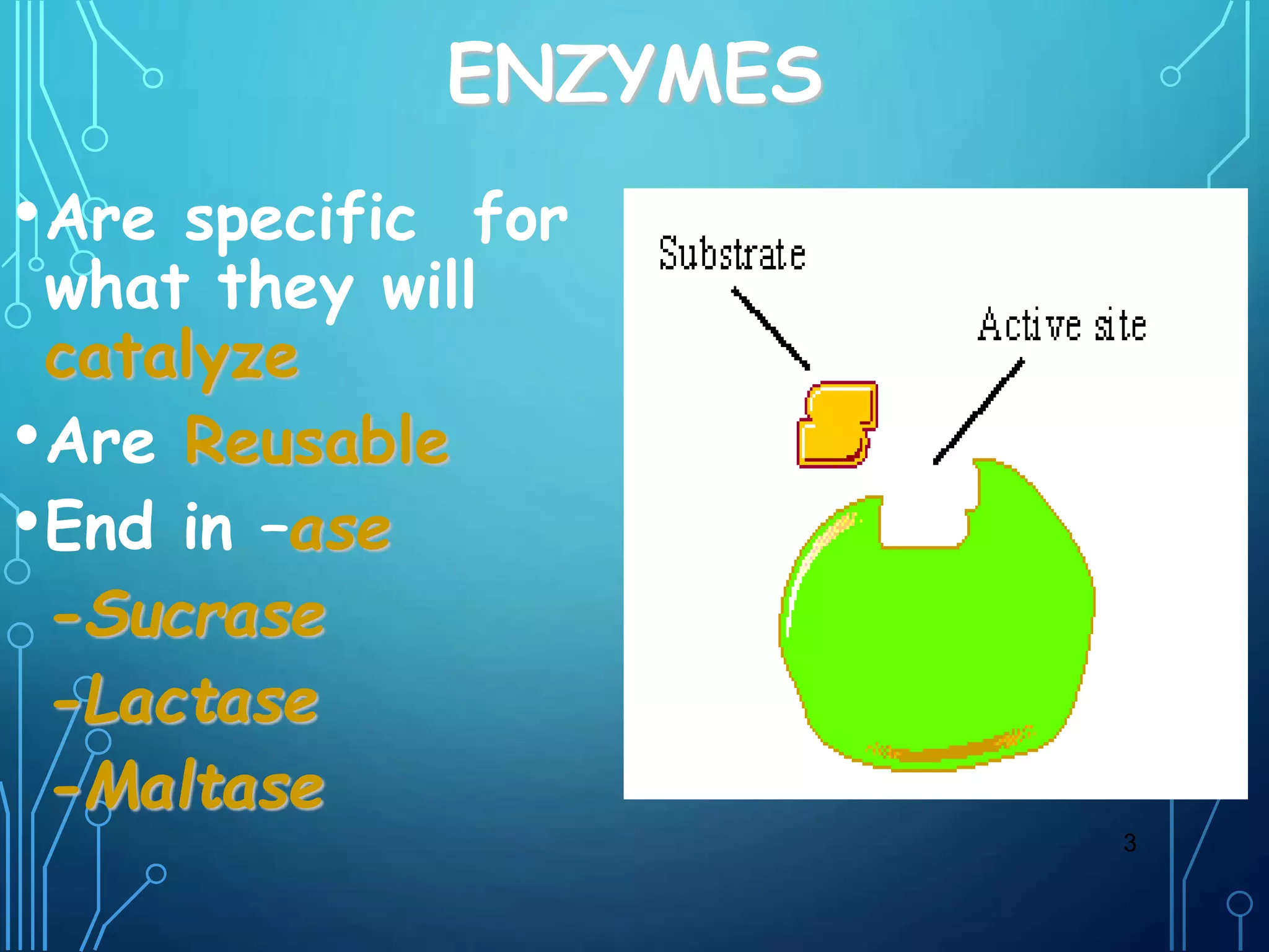 Enzyme ppt | PPT