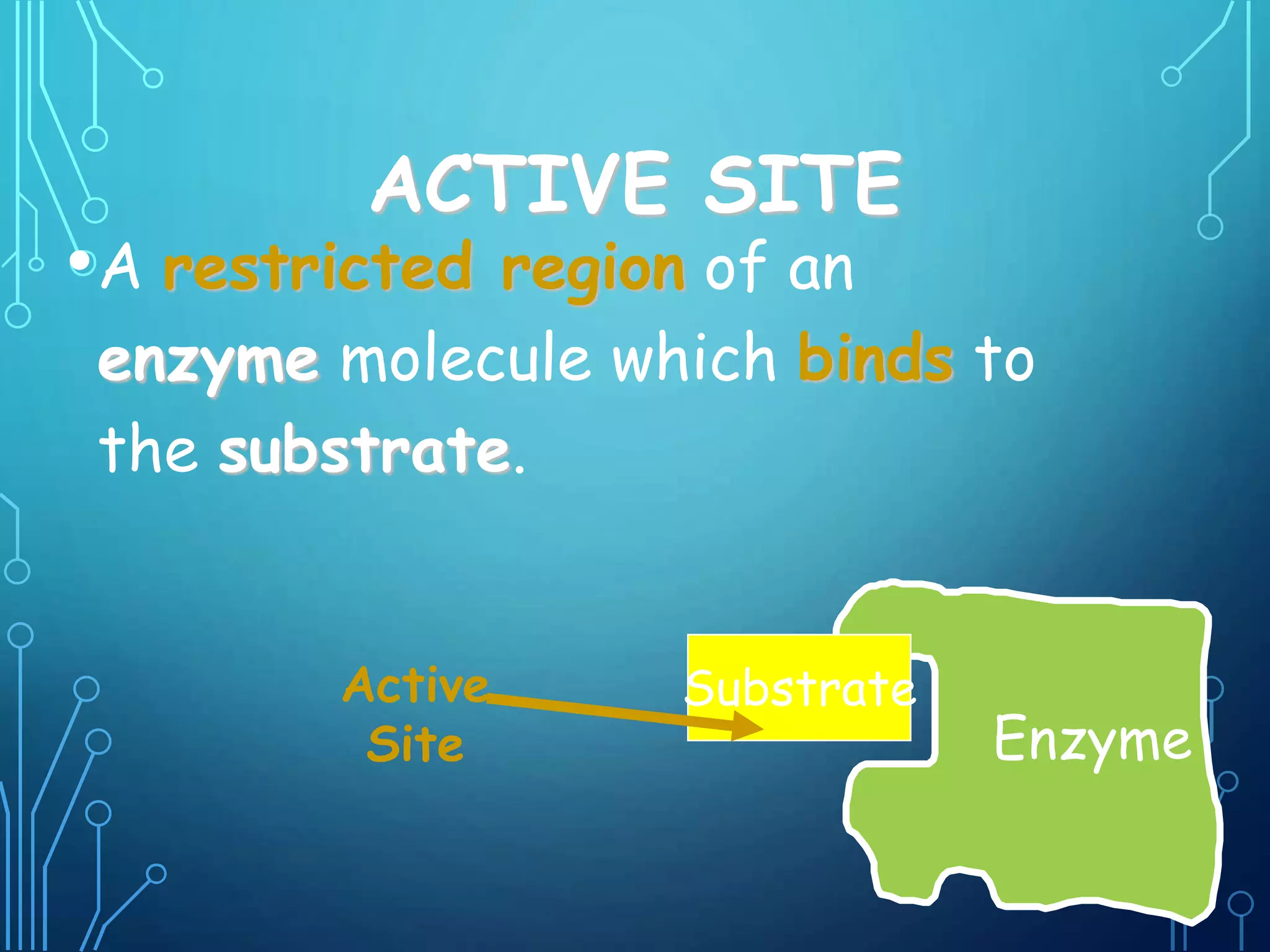 Enzyme ppt | PPT