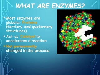 Enzyme ppt | PPT