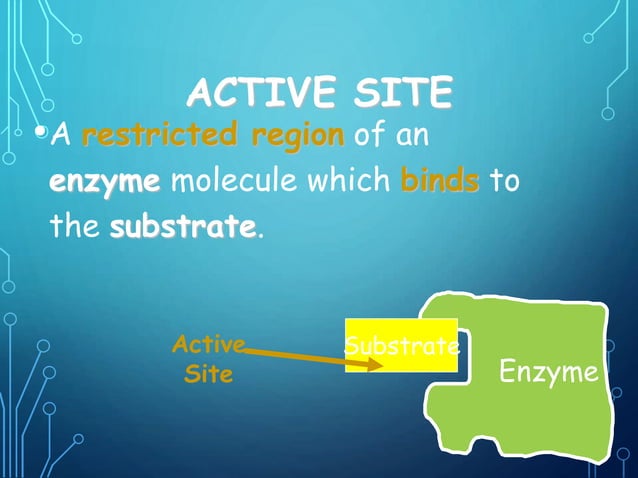 Enzyme ppt | PPT
