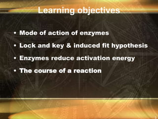 enzyme ppt.ppt