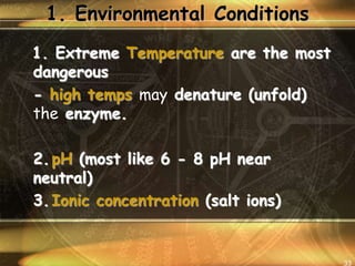 enzyme ppt.ppt