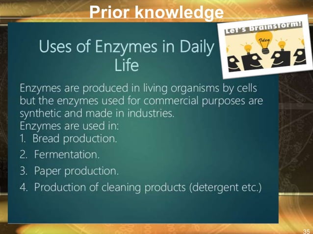 enzyme ppt.ppt