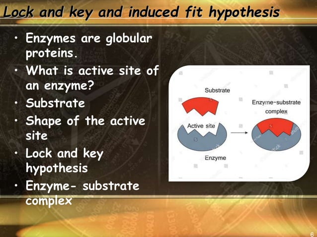 enzyme ppt.ppt