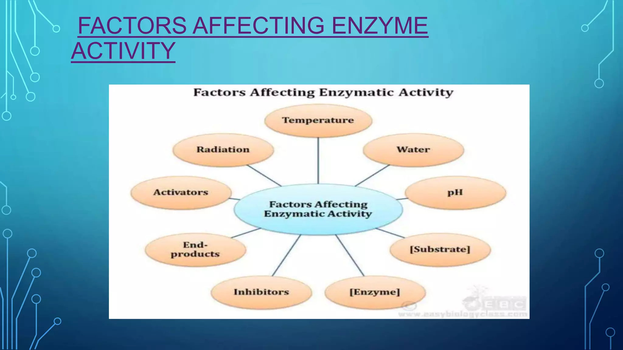 enzyme ppt.pptx