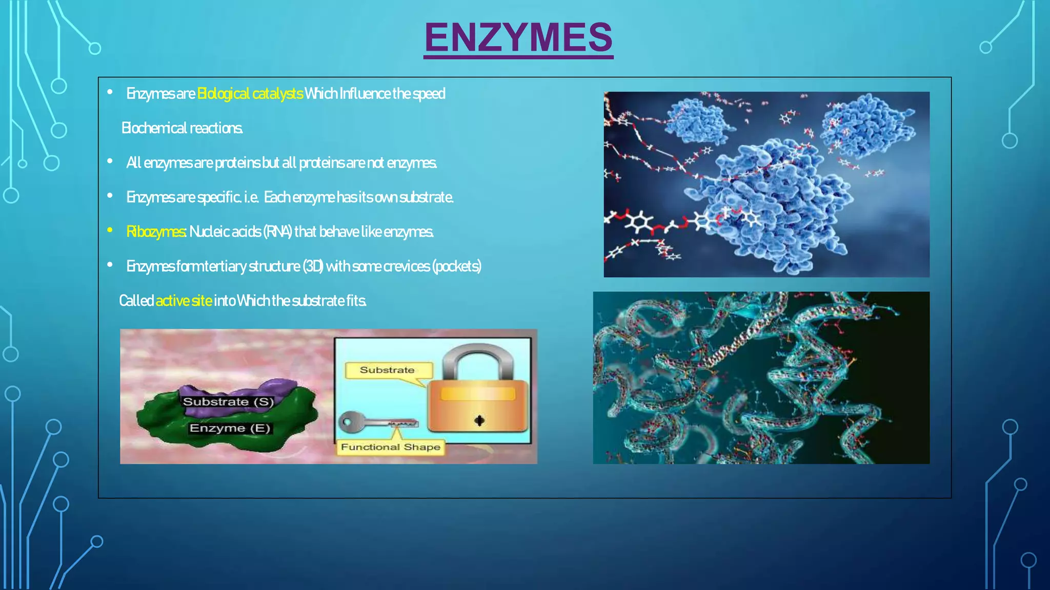enzyme ppt.pptx