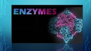 enzyme ppt.pptx