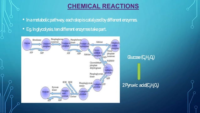 enzyme ppt.pptx