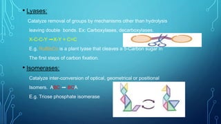 enzyme ppt.pptx