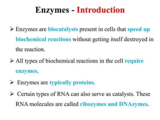 enzyme ppt.pptx
