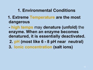 Enzymes Topic - Power Point Presentation | PPTX