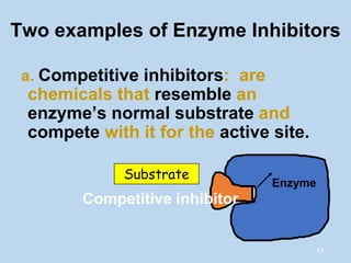 Enzymes Topic - Power Point Presentation | PPTX
