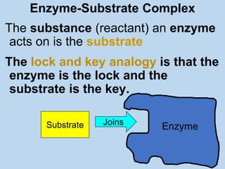 Enzymes Topic - Power Point Presentation | PPTX