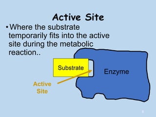 Enzymes Topic - Power Point Presentation | PPTX