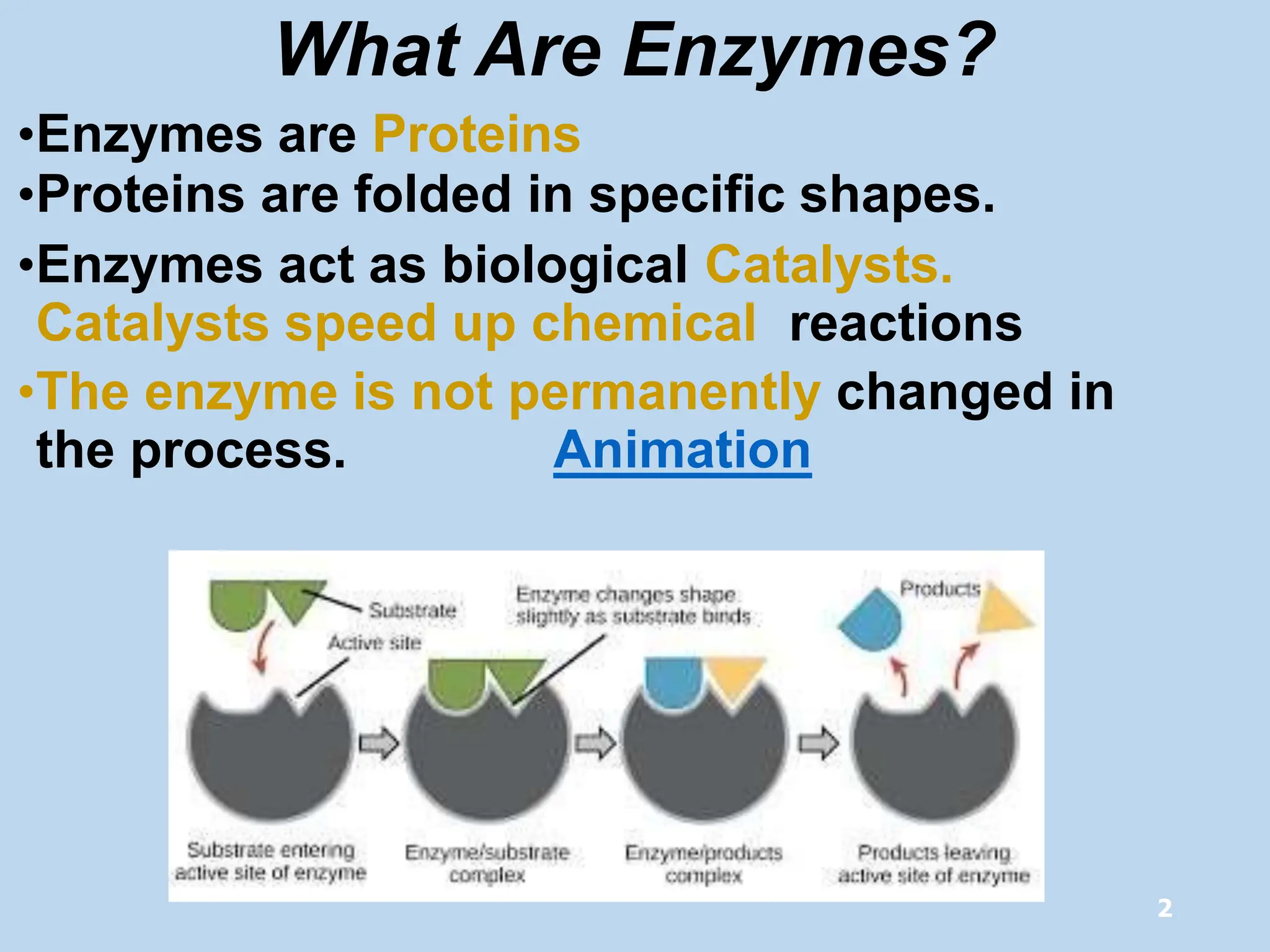 enzyme , its working, factors affecting enzymes | PPT