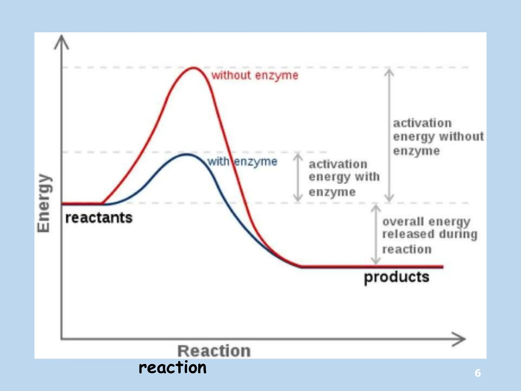 enzyme , its working, factors affecting enzymes | PPT