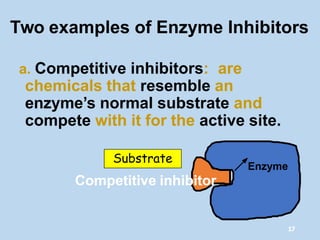 enzyme , its working, factors affecting enzymes | PPT