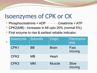 Enzyme biochemistry mbbs first prof ppt.pptx