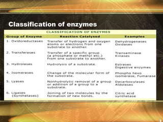 Enzyme ppt by yograj | PPT