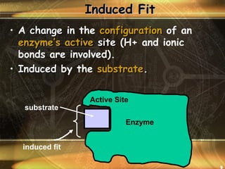 Enzyme ppt by yograj | PPT