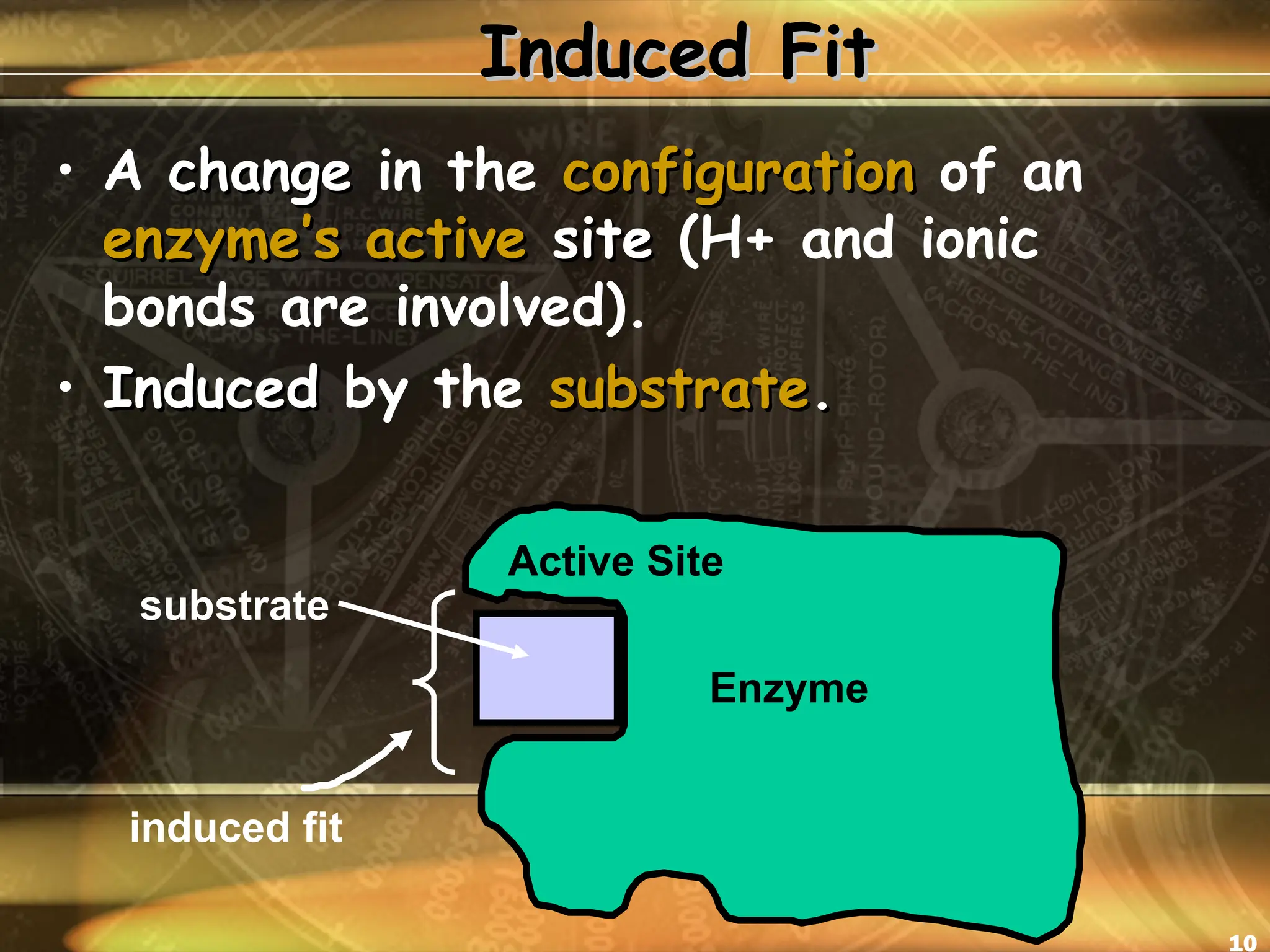 enzymeS POWERPOINT LEARNINGS BEST SOURCES | PPT