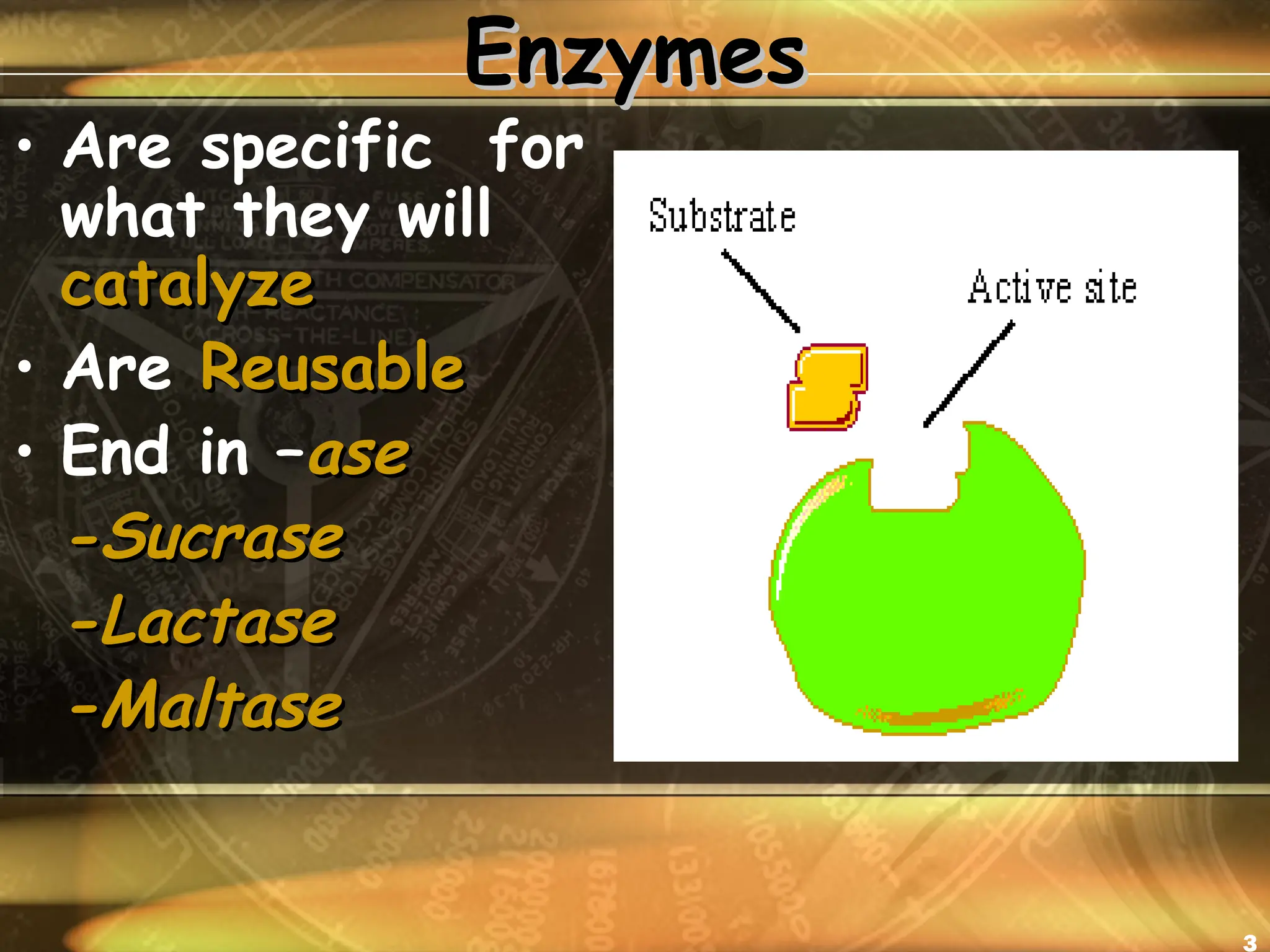 enzymeS POWERPOINT LEARNINGS BEST SOURCES | PPT
