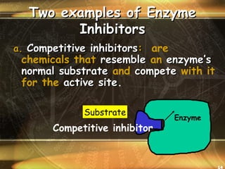 enzymeS POWERPOINT LEARNINGS BEST SOURCES | PPT