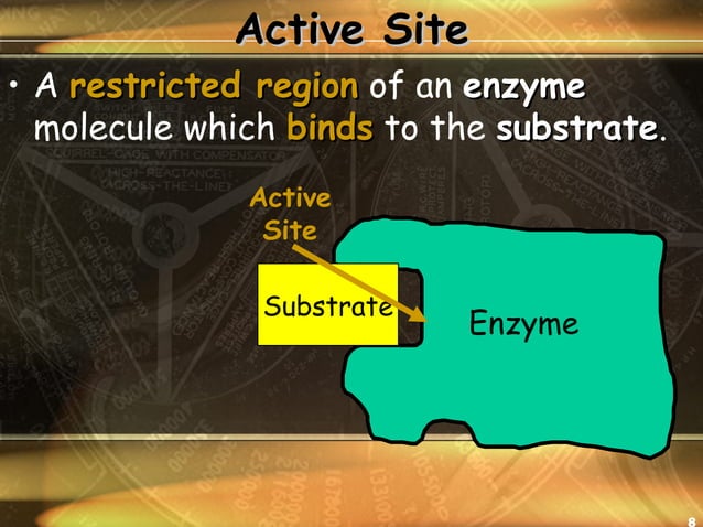 enzymeS POWERPOINT LEARNINGS BEST SOURCES | PPT