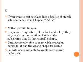 Enzyme practice test | PPT