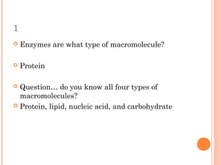 Enzyme practice test | PPT