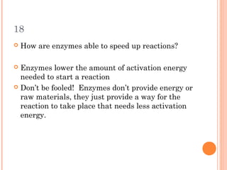 Enzyme practice test | PPT