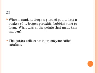 Enzyme practice test | PPT