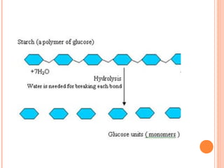 Enzyme practice test | PPT