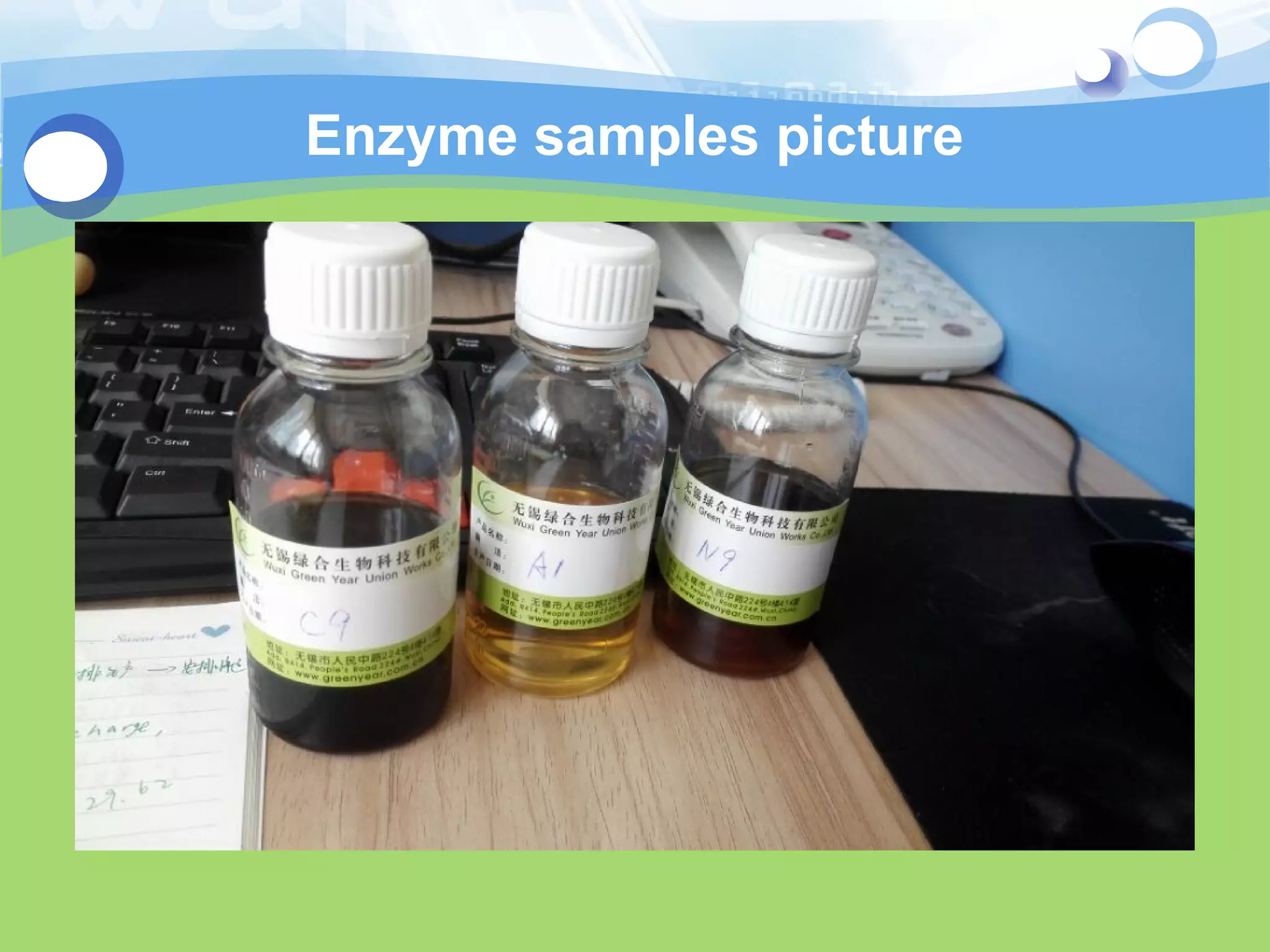 Enzyme preparation | PPT