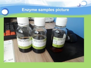 Enzyme preparation | PPT