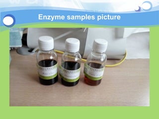 Enzyme preparation | PPT