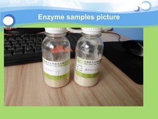 Enzyme preparation | PPT