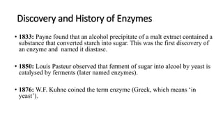 Enzyme presentation by Rohini Yadav.pptx