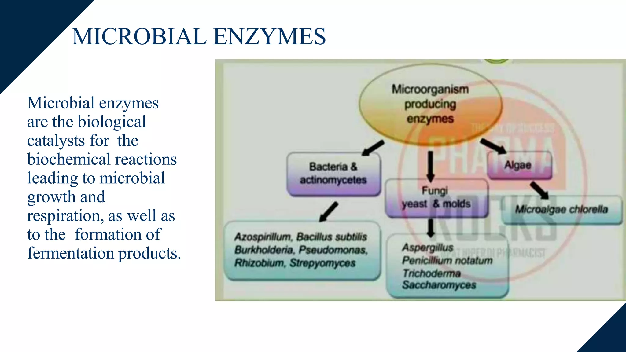 Enzyme production | PPTX
