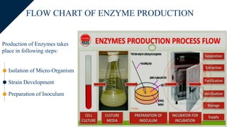 Enzyme production | PPTX