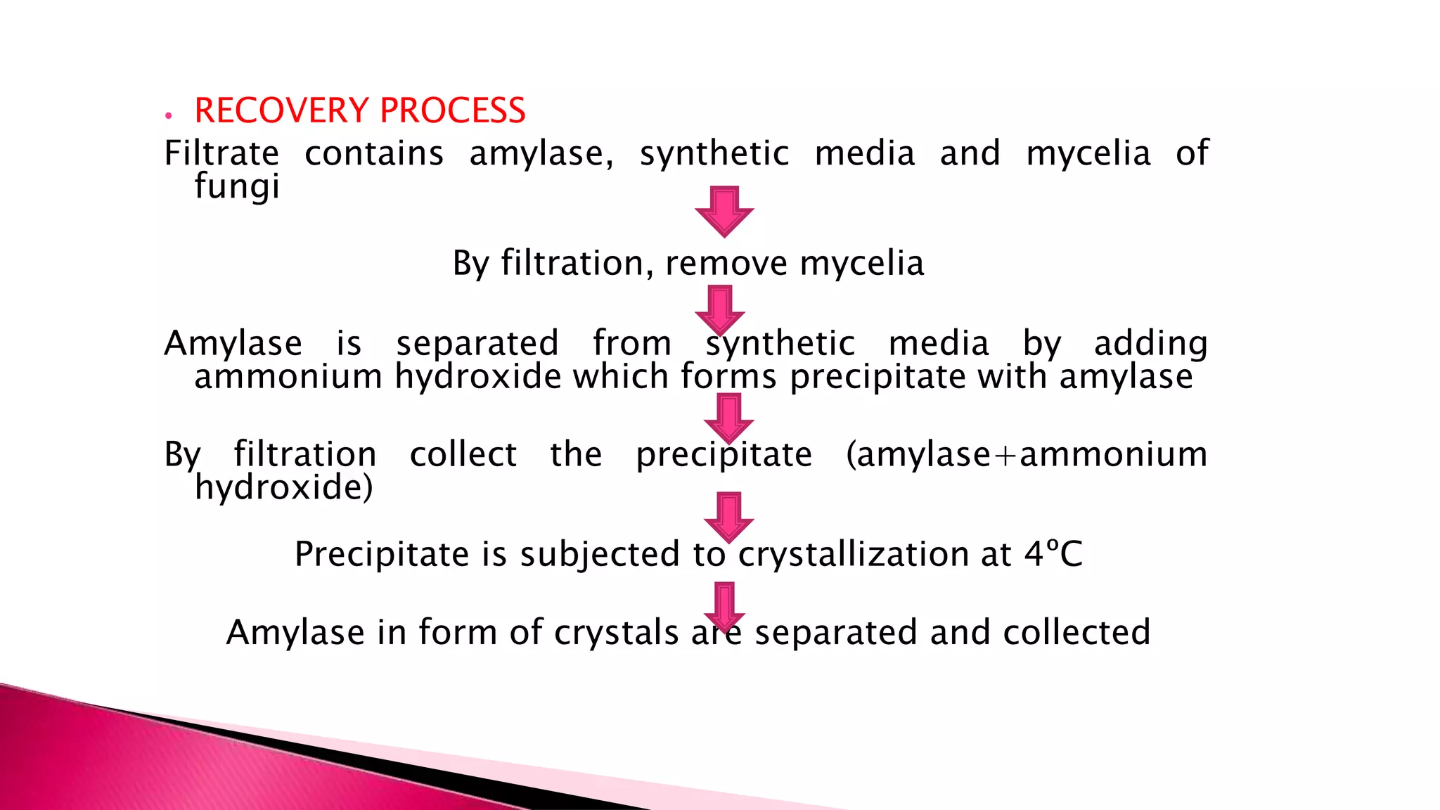 Enzyme Production.pptx